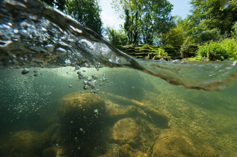 La rivière d'Ain sous l'eau - Michel Loup photographe